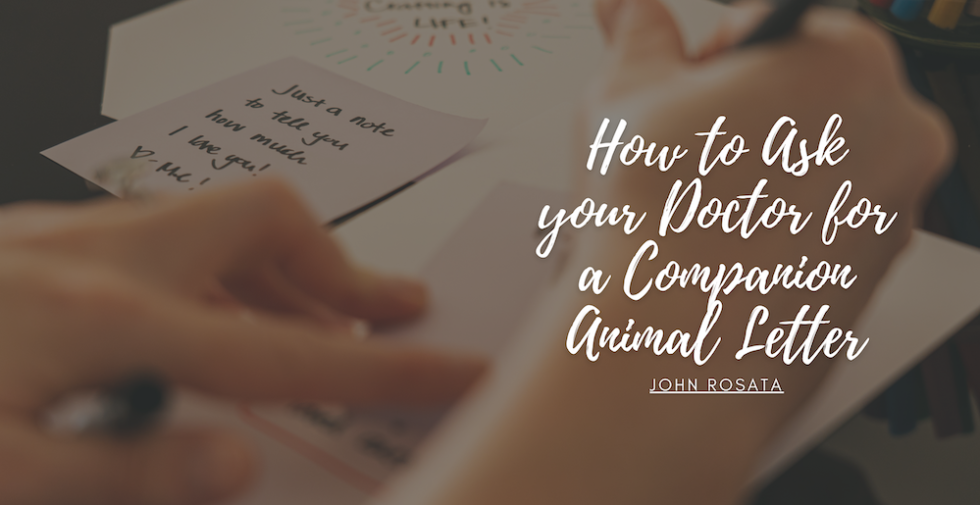 How to Ask your Doctor for a Companion Animal Letter | John Rosata ...